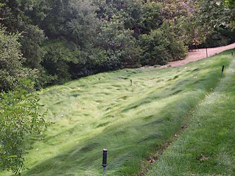 Residential Erosion Control and Landscaping - Acacia Erosion ...
